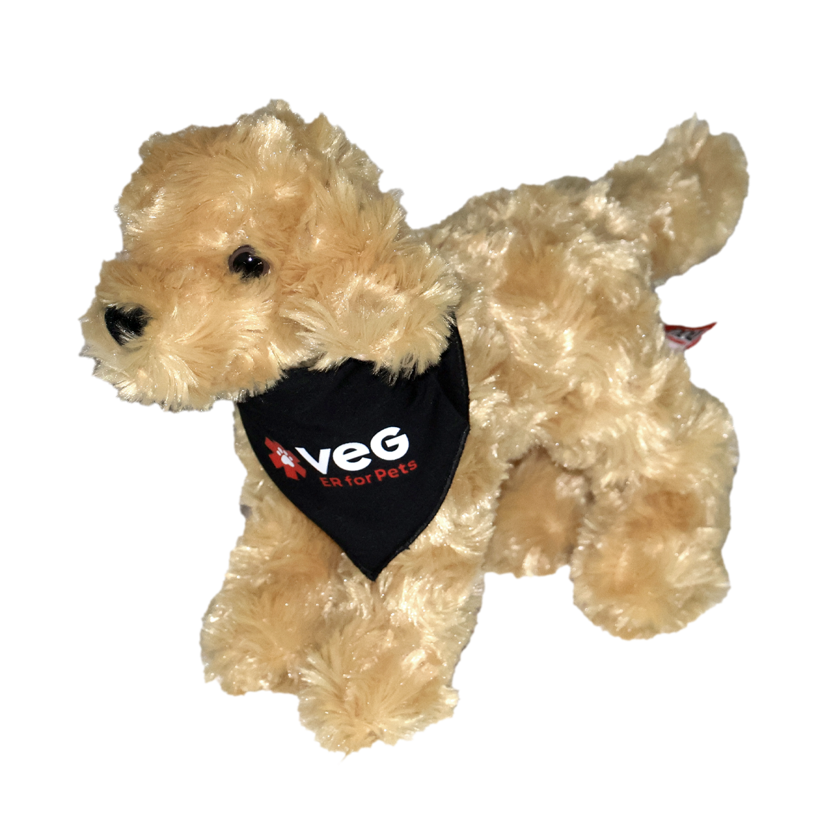 Gizmo the Golden | Veterinary Emergency Group Store