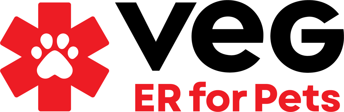 Accessories | Veterinary Emergency Group Store